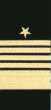 4101 - Officer Sleeve Insignia