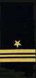 4101 - Officer Sleeve Insignia